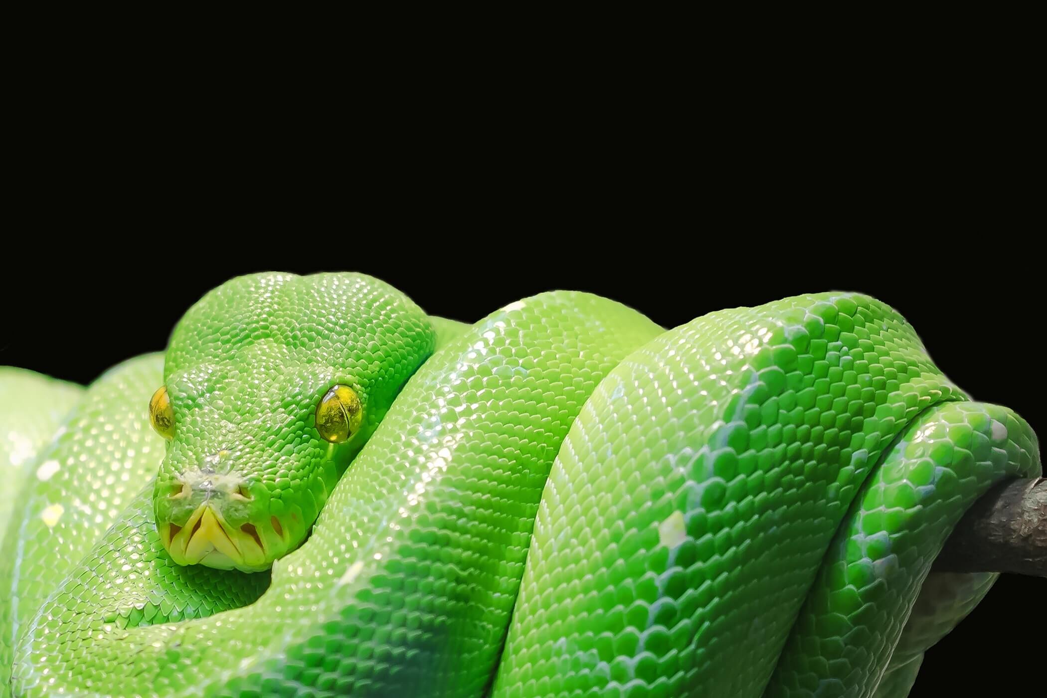 DevOpsChat Articles - 10 Compelling Reasons to Learn Python for Data ... DevOpsChat Articles - 10 Compelling Reasons to Learn Python for Data ...