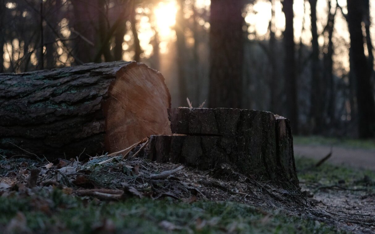 DevOpsChat Articles - How a URL Shortening Application Works