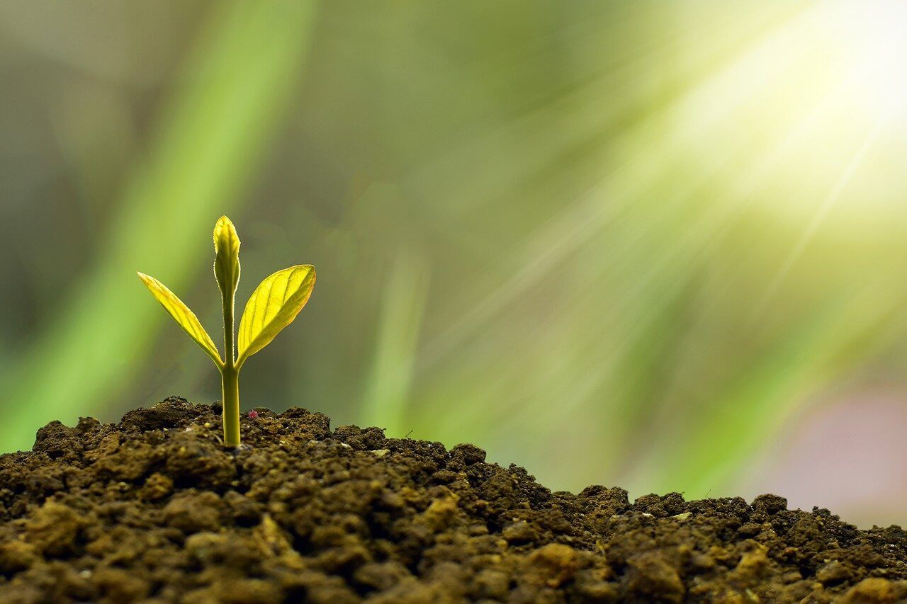 Devopschat Articles 5 Ways To Prepare Your Dev Team For Technical Due 9547