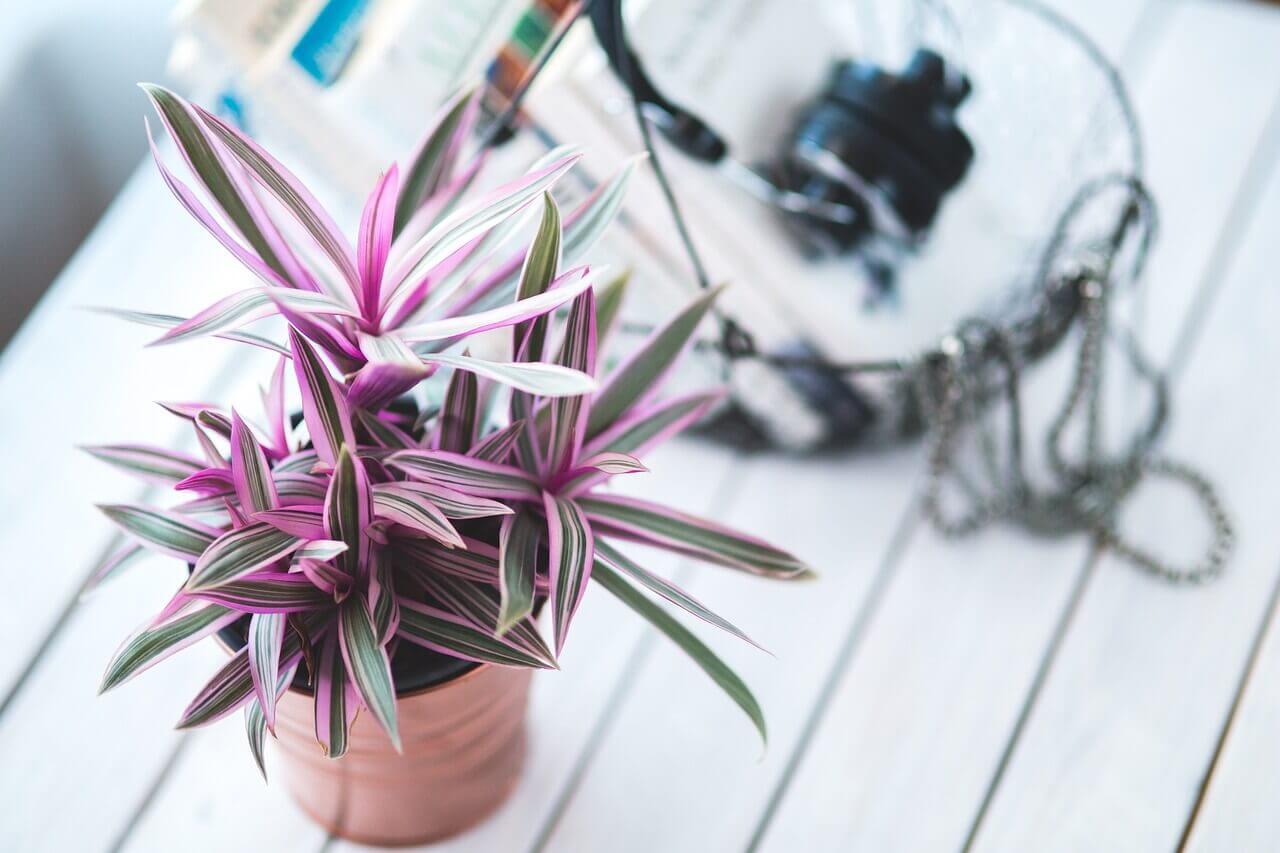 DevOpsChat Articles - Building a Plant Monitoring Tool with IoT DevOpsChat Articles - Building a Plant Monitoring Tool with IoT