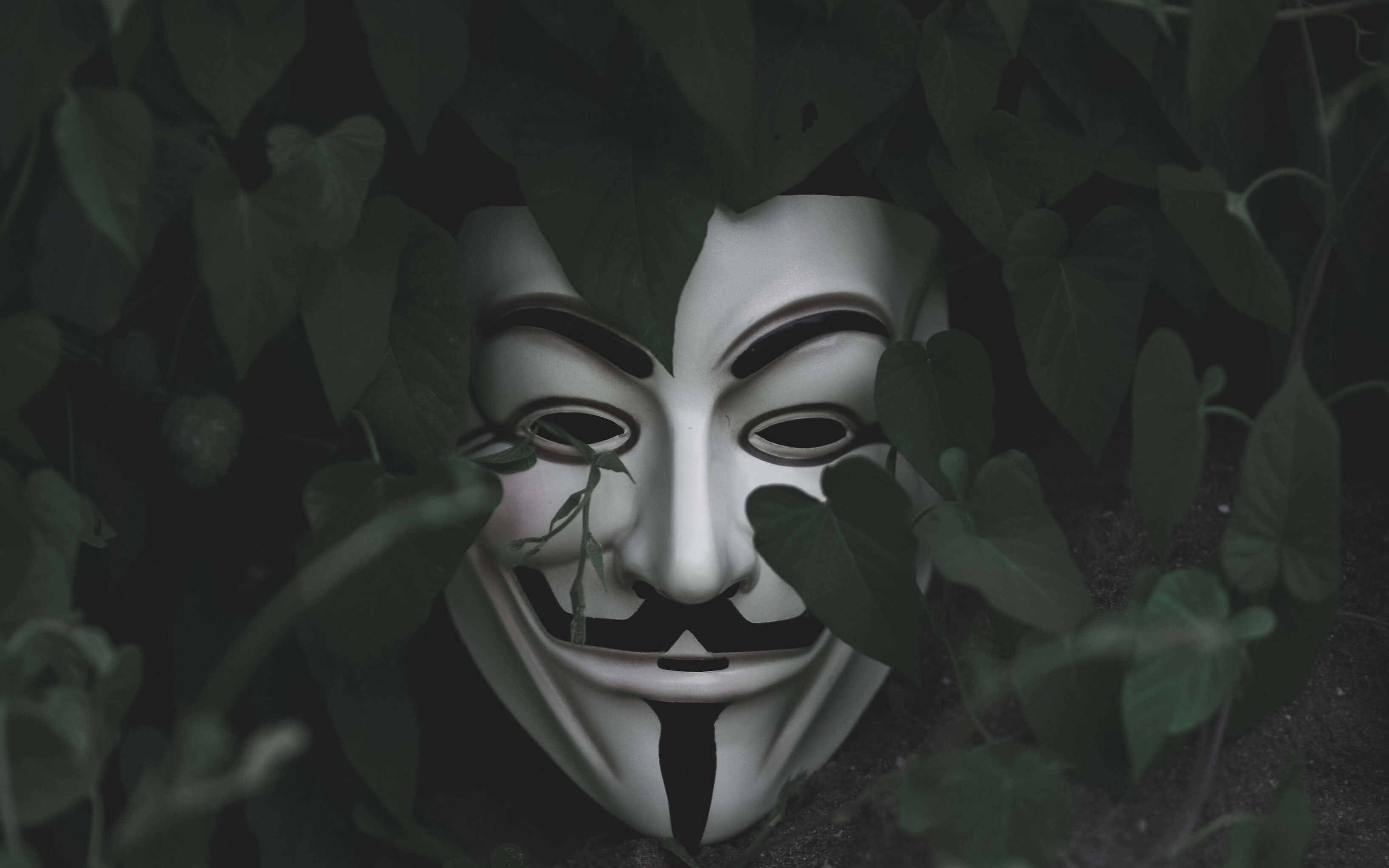 DevOpsChat Articles - Top 10 Ethical Hacking Tools in 2019