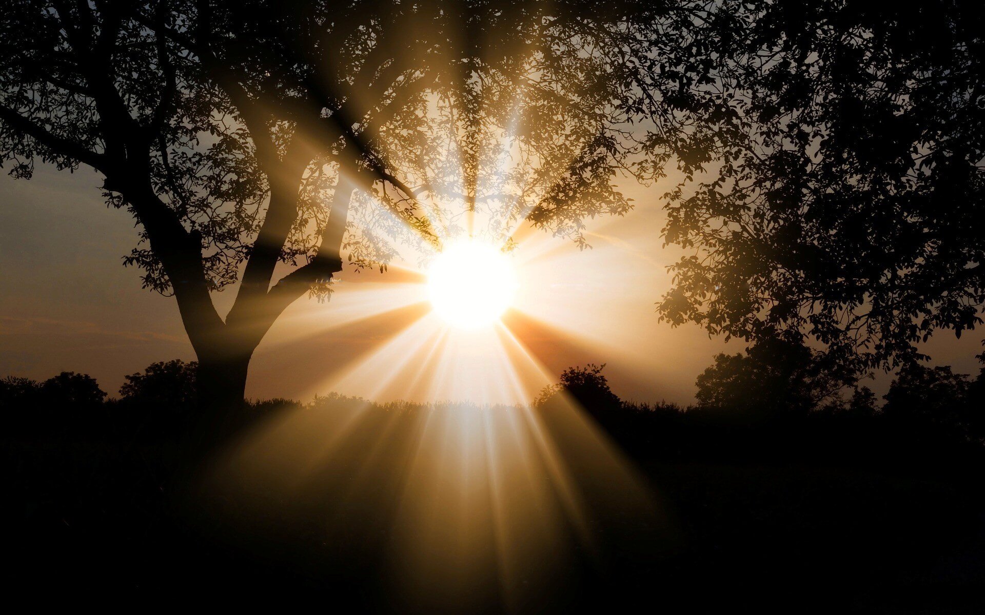 DevOpsChat Articles - The Direction of DevOps: The Future of DevOps Is Truly Bright, and Getting